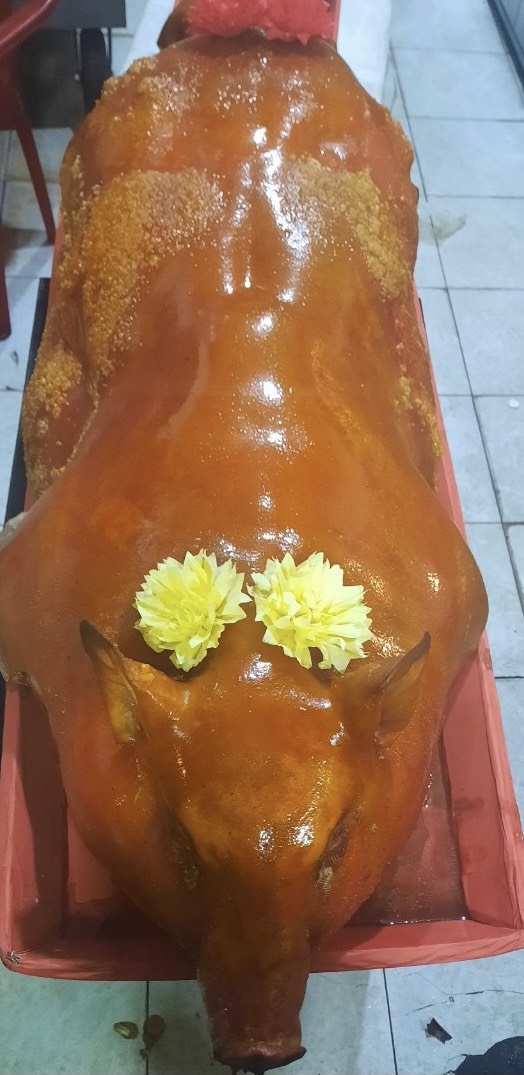 HEO QUAY NGUYÊN CON LOẠI TỪ 9 KG ĐẾN 13 KG | heo sữa quay | heo quay